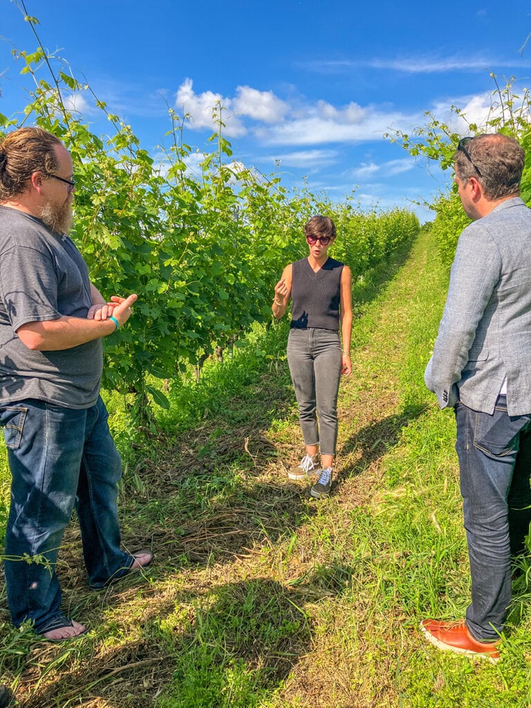 Your Journey in Wine Starts Here - The Court of Master Sommeliers Americas